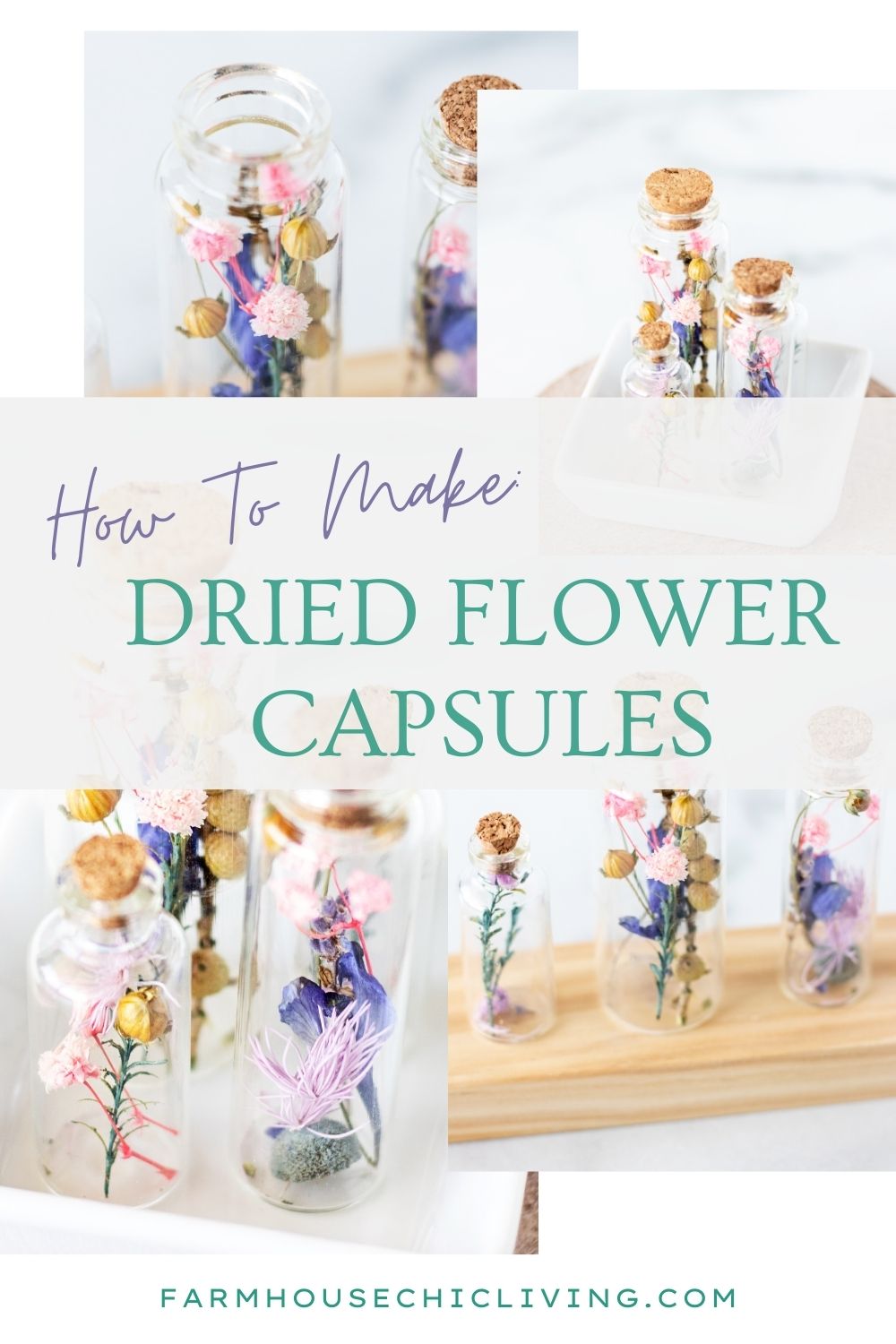 Dried Flower DIY Capsules: Simple Dried Flower Project